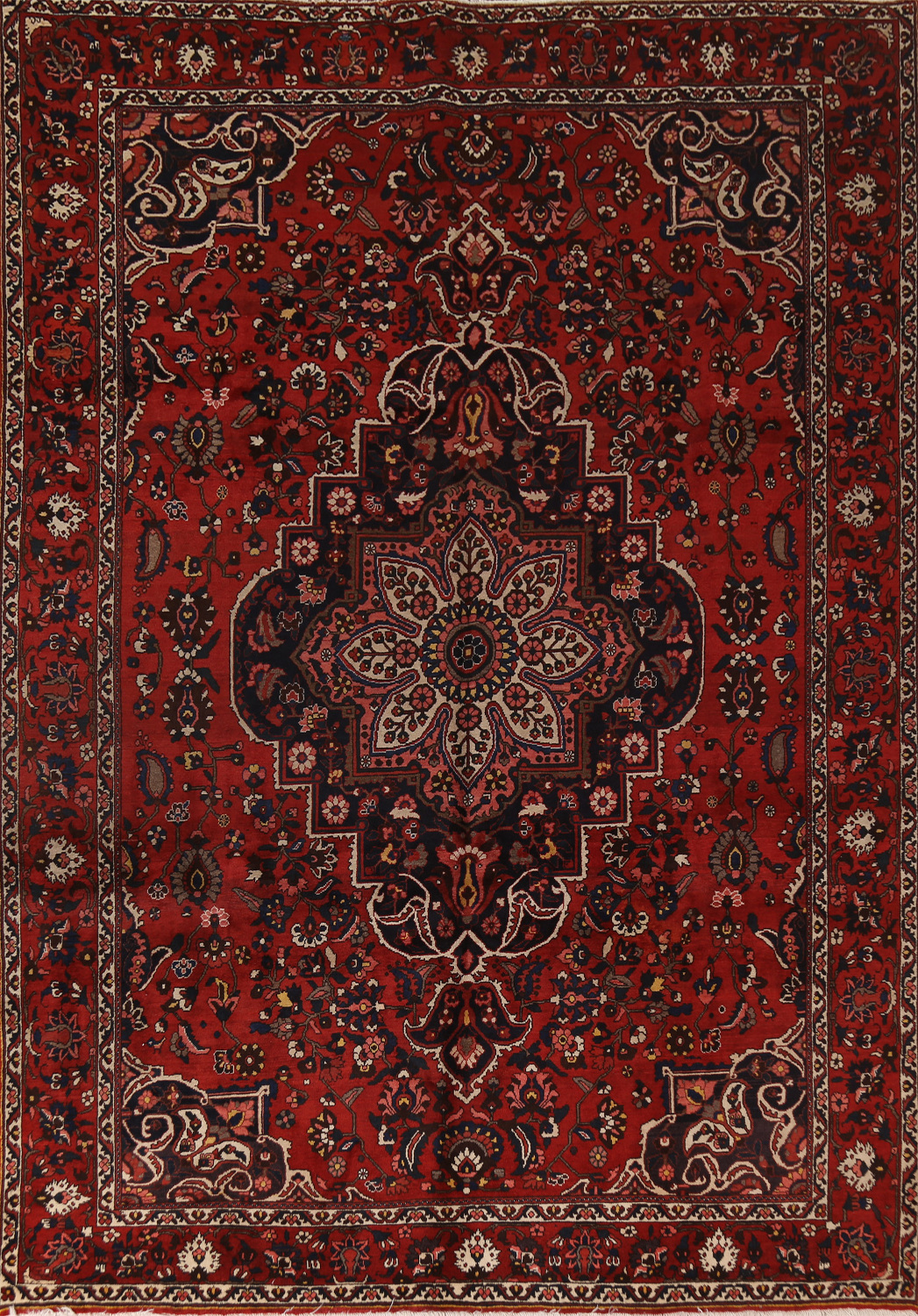 Vintage Wool Bakhtiari Persian Area Rug 9x12