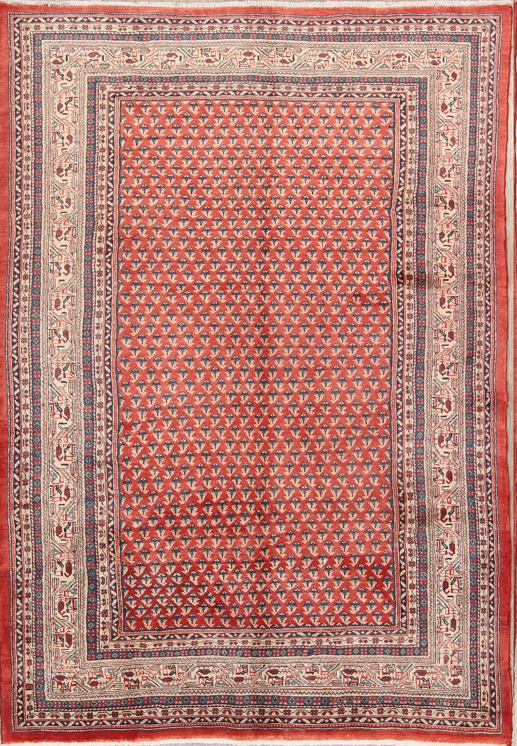 All Over Design 7x10 Botemir Persian Area Rug