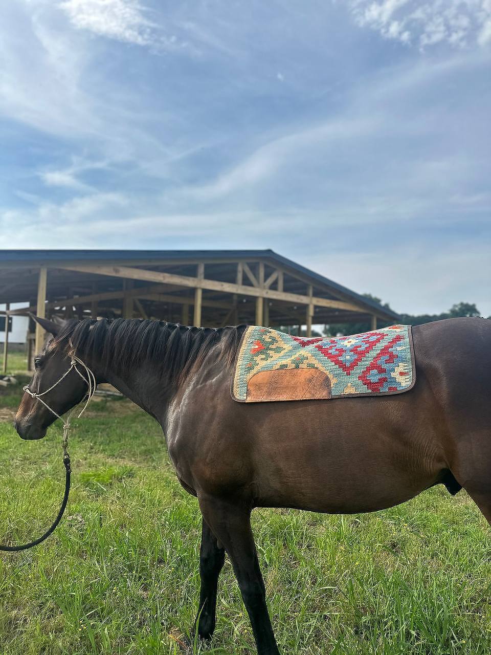 Unique Patterned Saddle Pad 28x35 inches with Bold and Bright Color Palette