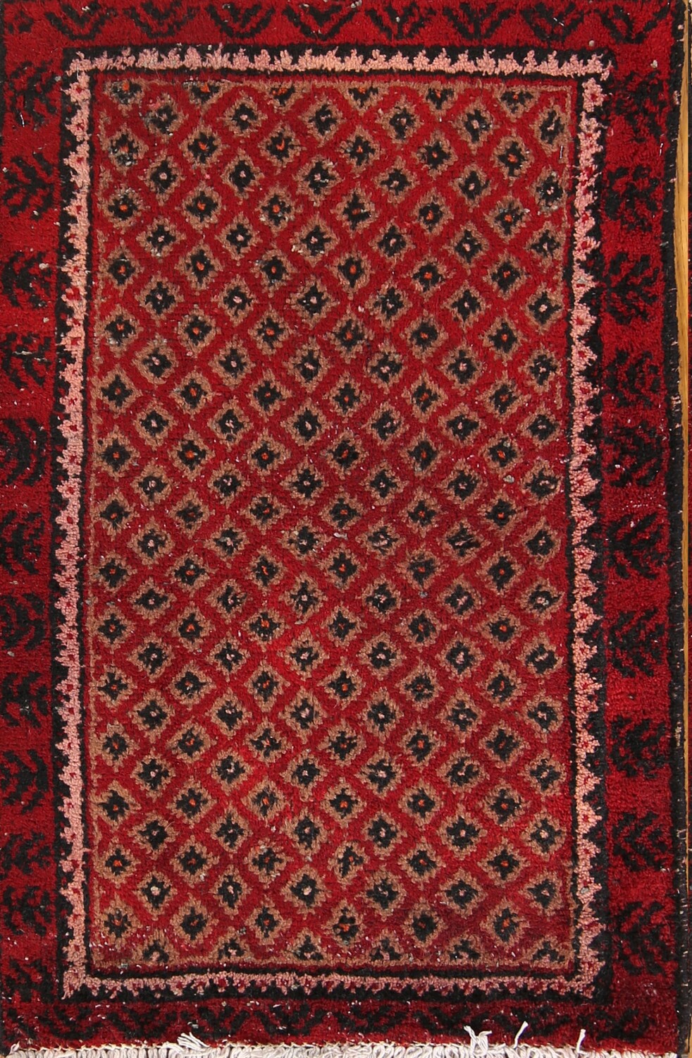 Geometric 2x3 Balouch Bokhara Persian Area Rug