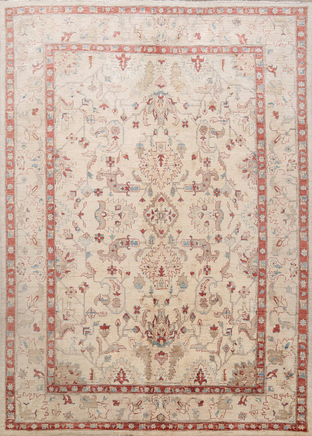 Floral Peshawar Oriental Area Rug 8x9