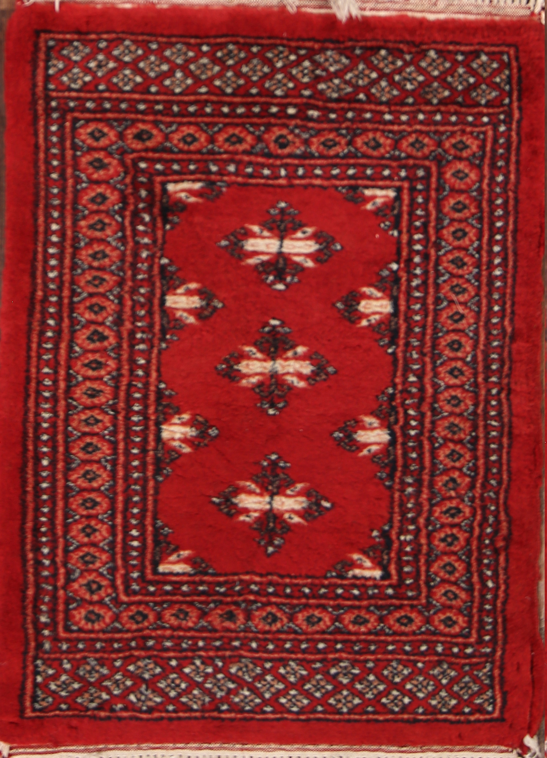 2x3 Bokahra Oriental Area Rug